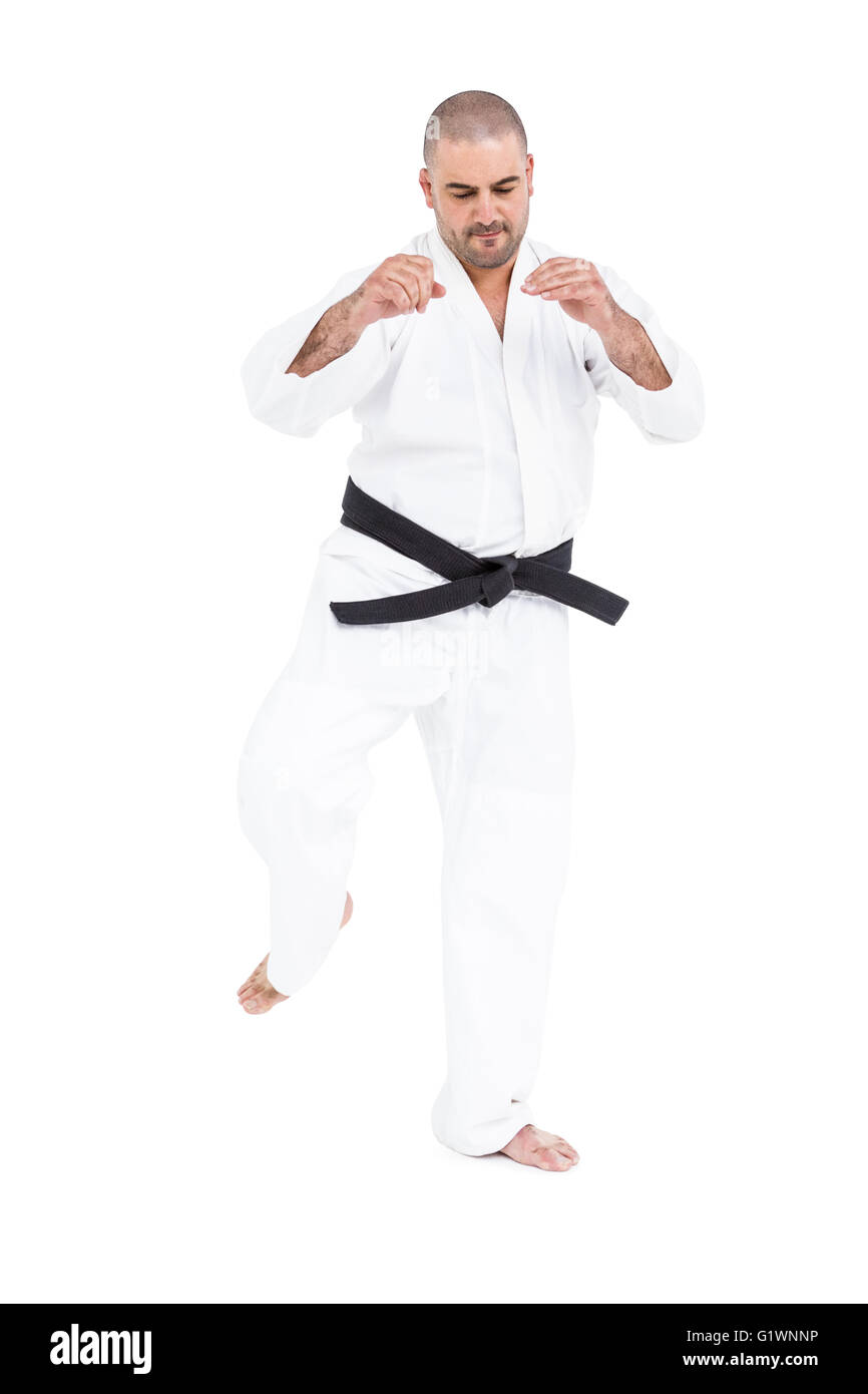 Fighter performing karate stance Stock Photo - Alamy