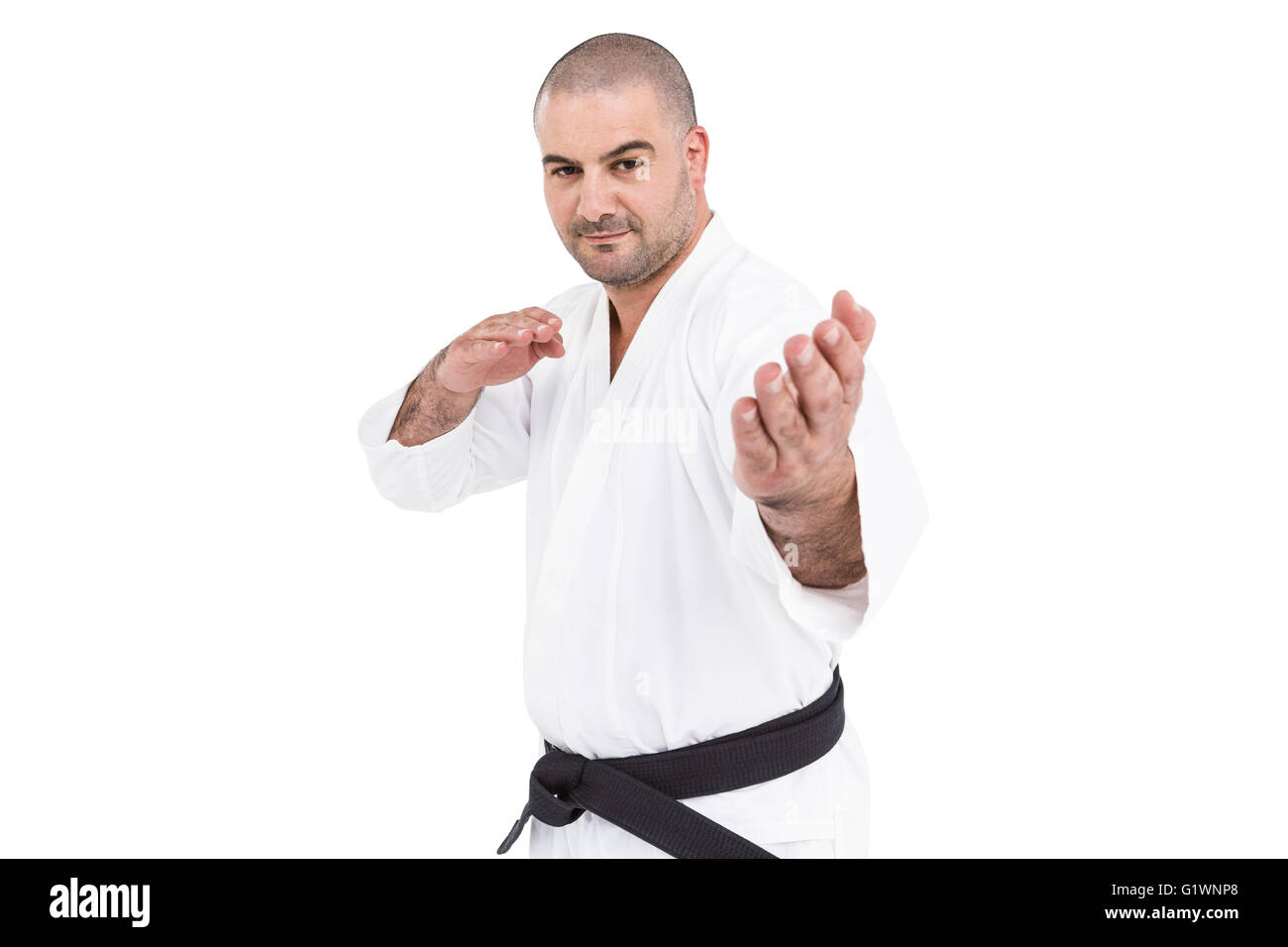Fighter performing karate stance Stock Photo - Alamy