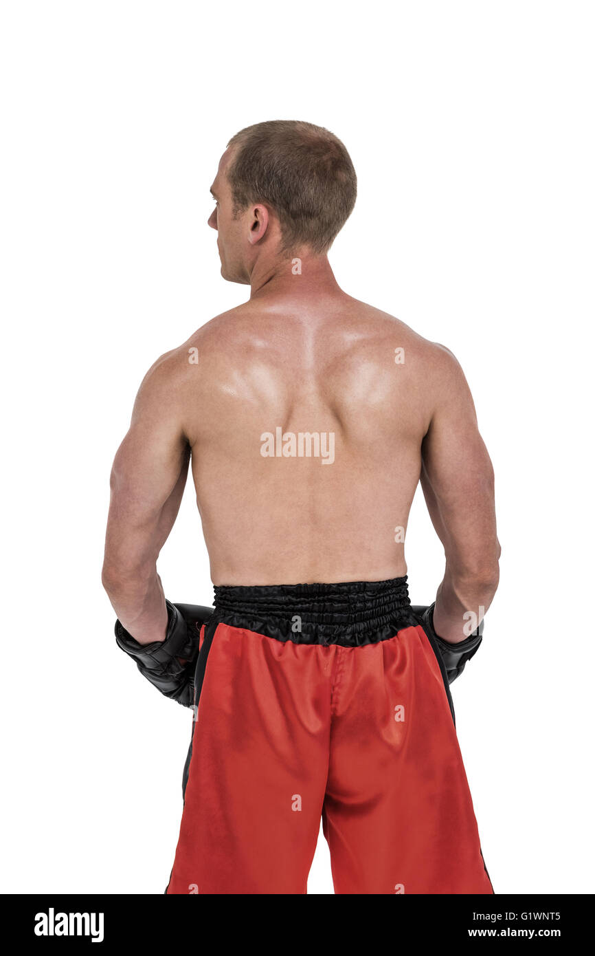Rear view of boxer standing Stock Photo - Alamy