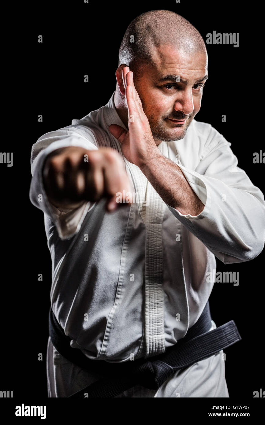 Fighter performing karate stance Stock Photo - Alamy