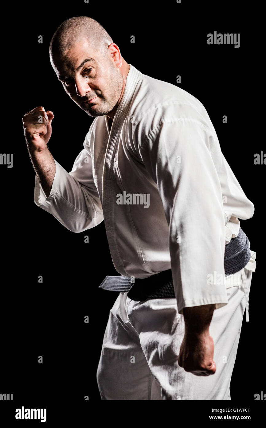 Fighter performing karate stance Stock Photo - Alamy