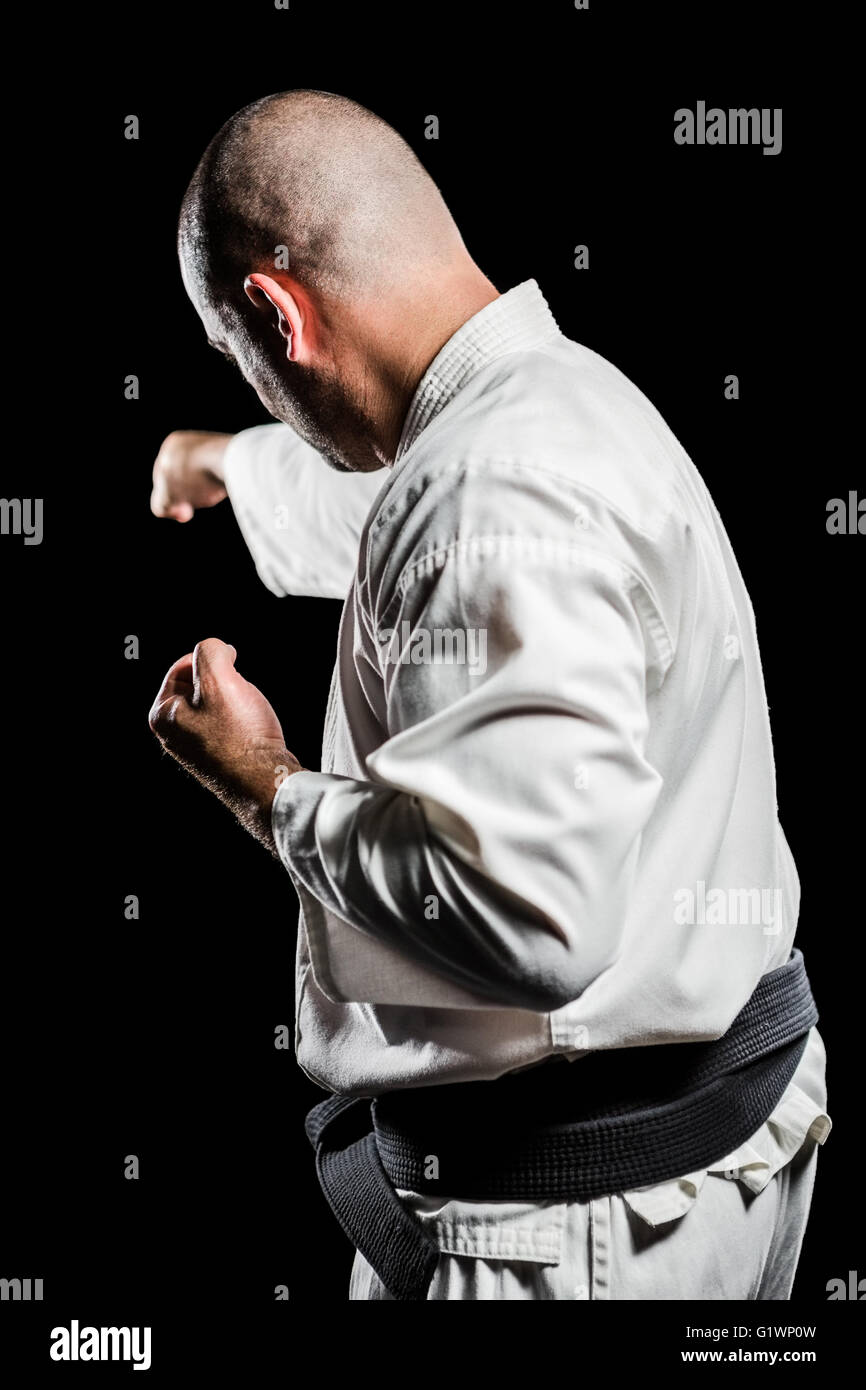 Fighter performing karate stance Stock Photo - Alamy