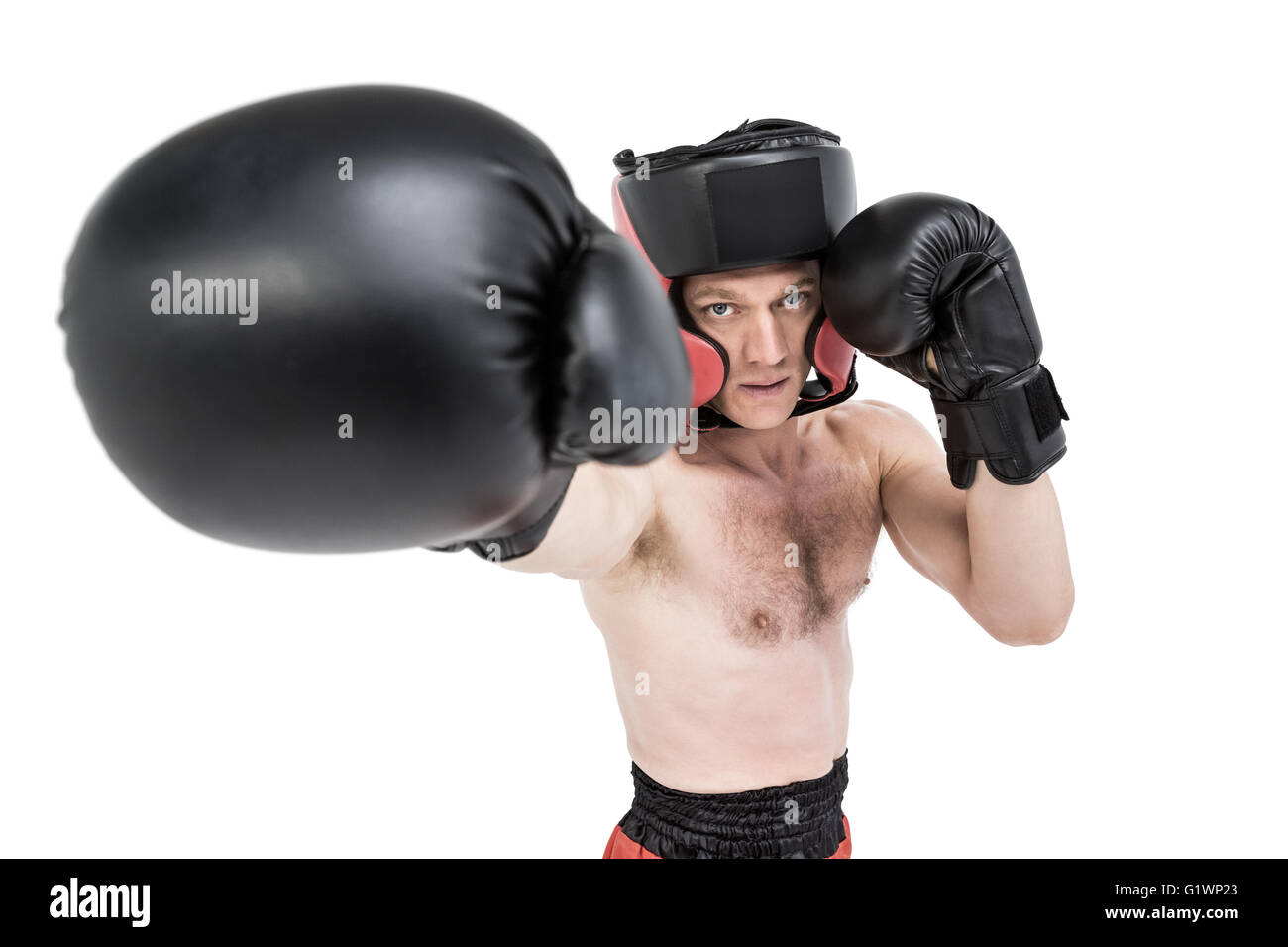 Boxer performing upright stance Stock Photo - Alamy