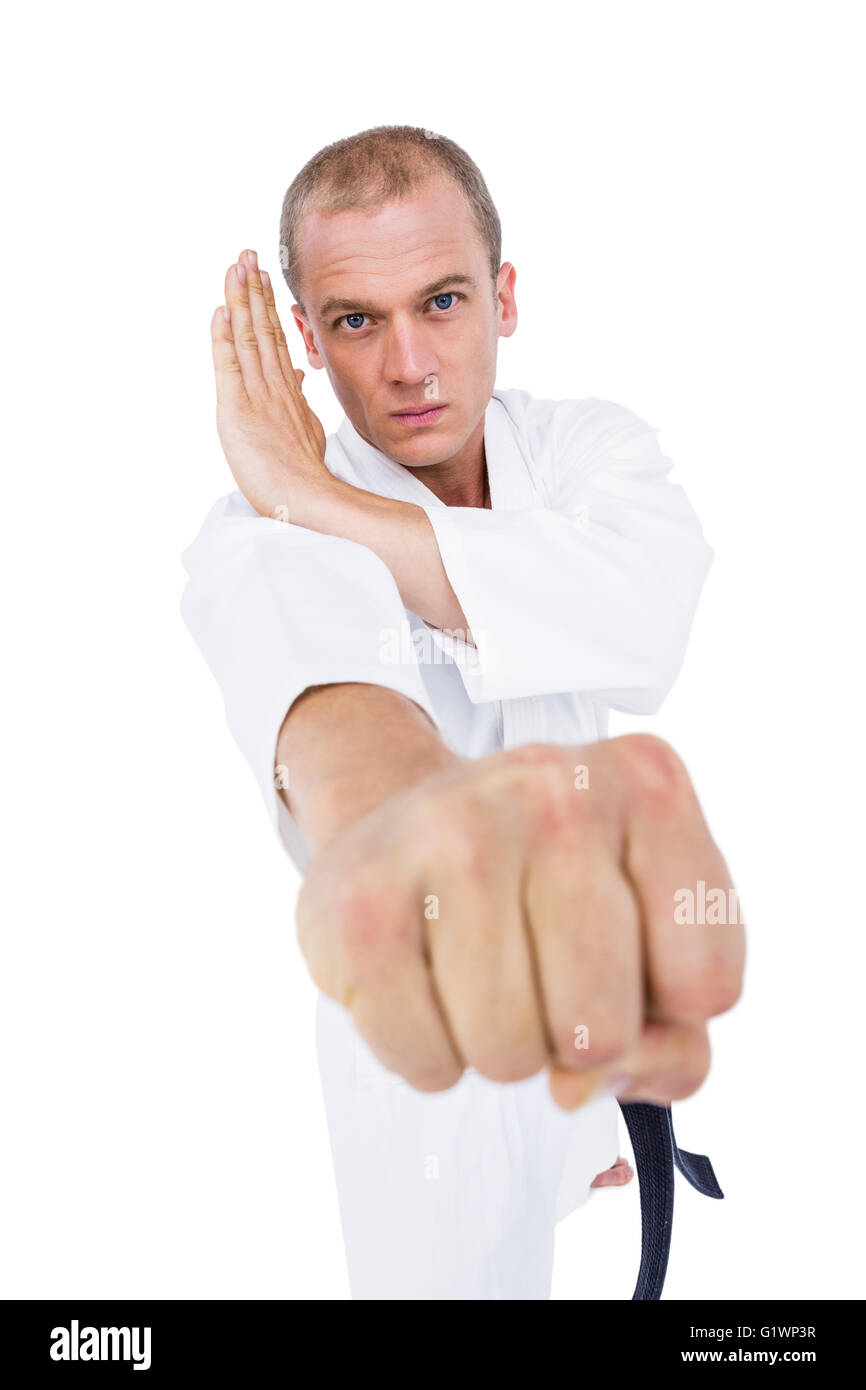 Fighter performing karate stance Stock Photo - Alamy