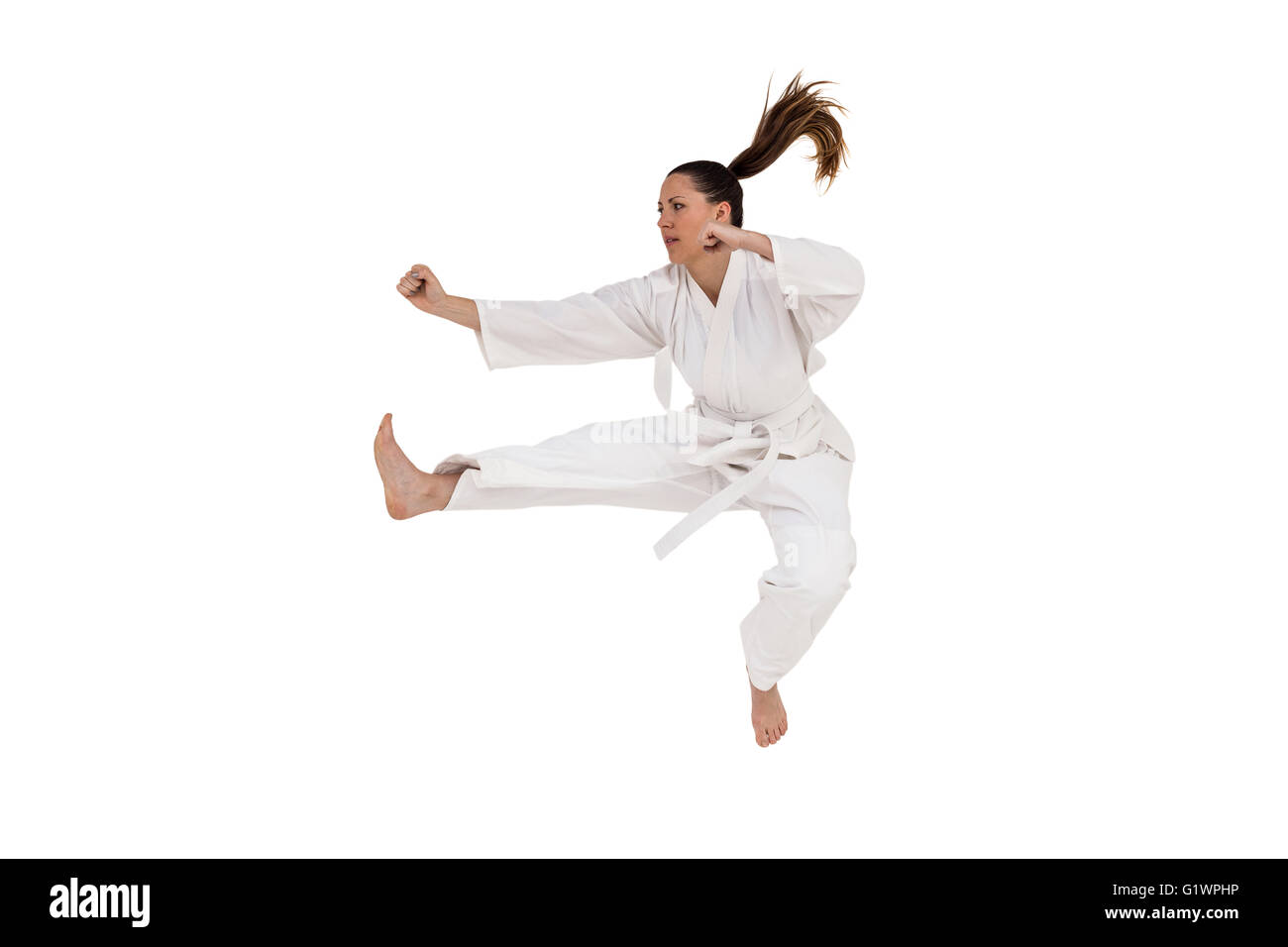 Fighter performing karate stance Stock Photo - Alamy
