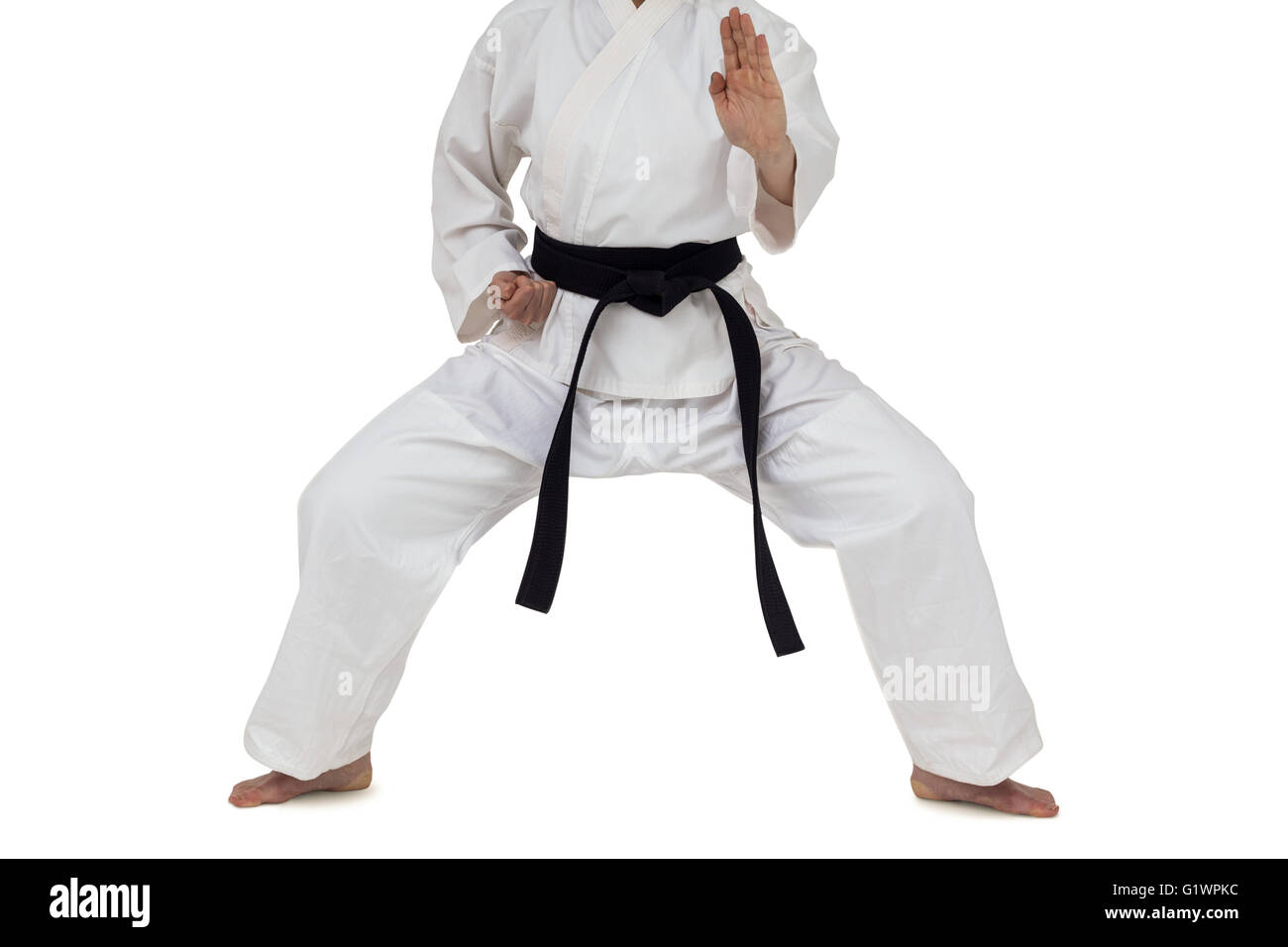 Fighter performing karate stance Stock Photo - Alamy