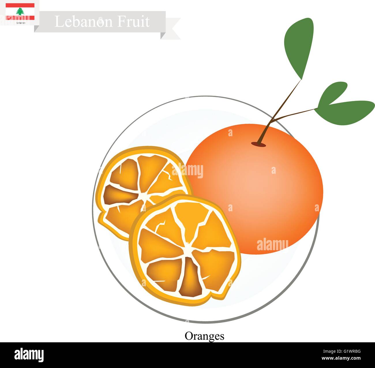 Lebanon Fruit, Illustration of Orange. One of The Most Popular Fruits ...