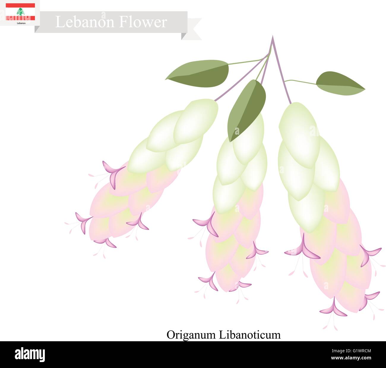 What to see in lebanon Stock Vector Images - Alamy