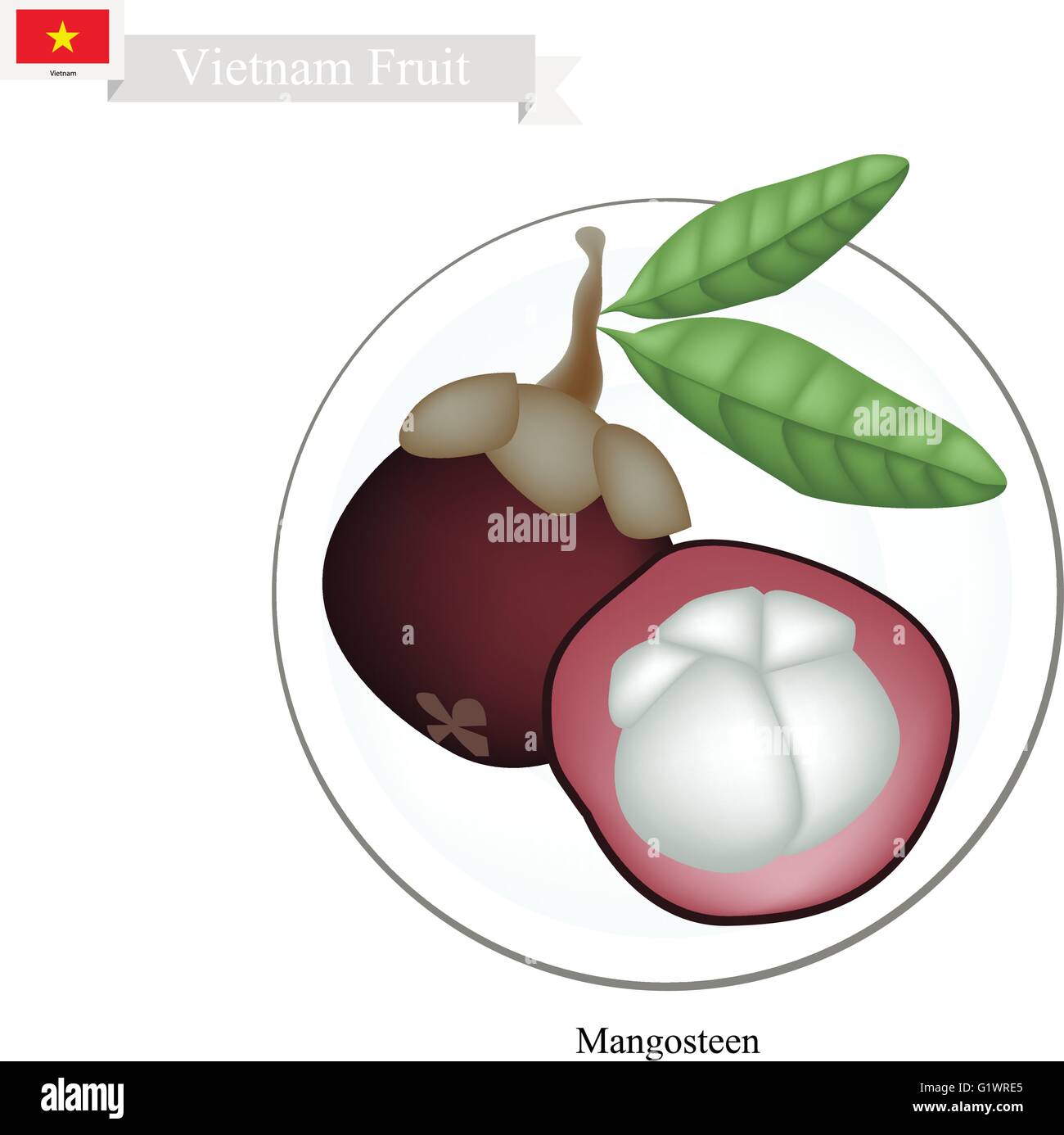 Vietnamese fruits Stock Vector Images - Alamy