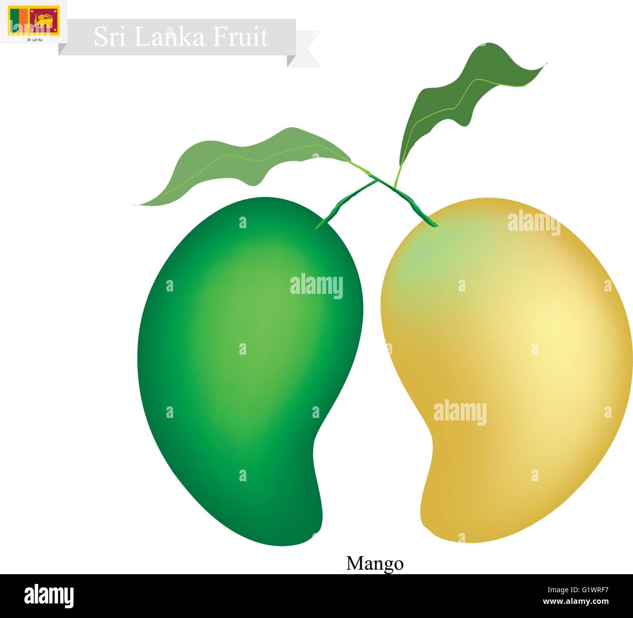 Sri lanka fruits Stock Vector Images - Alamy