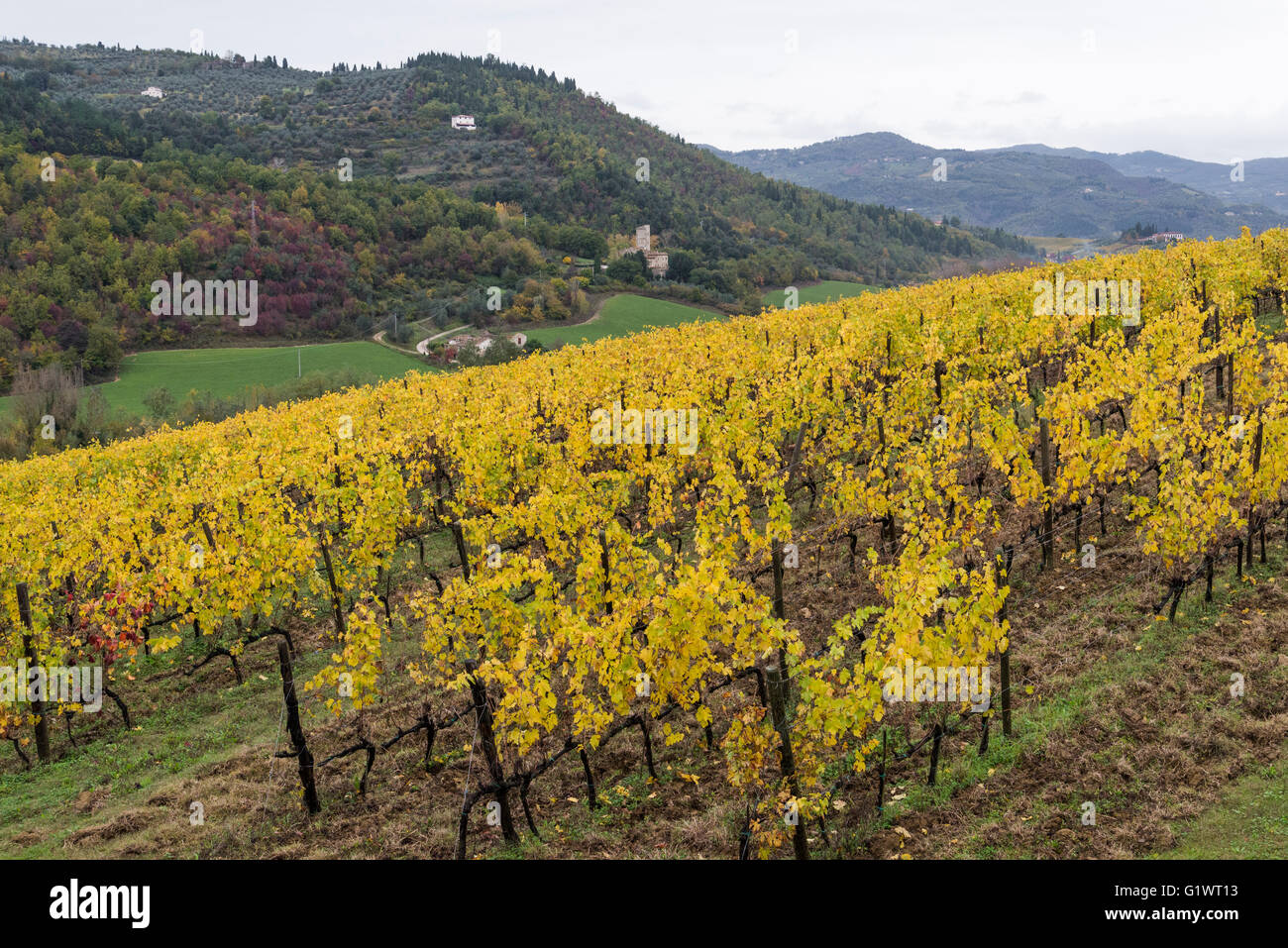 Tuscany italy fattoria valle hi-res stock photography and images - Alamy