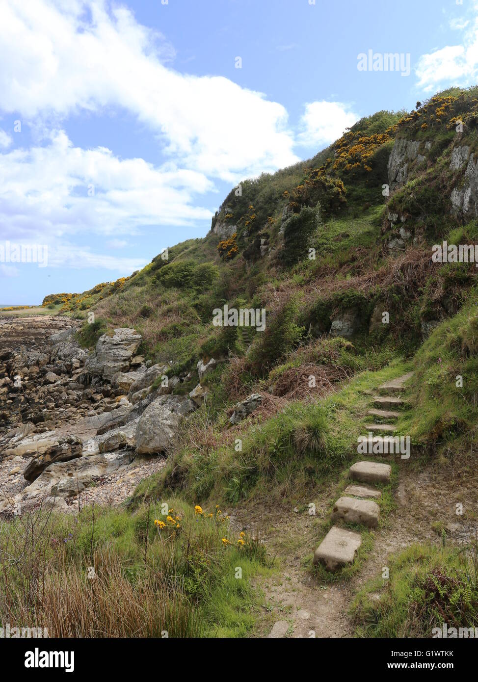 Scotland coastal path hi-res stock photography and images - Alamy