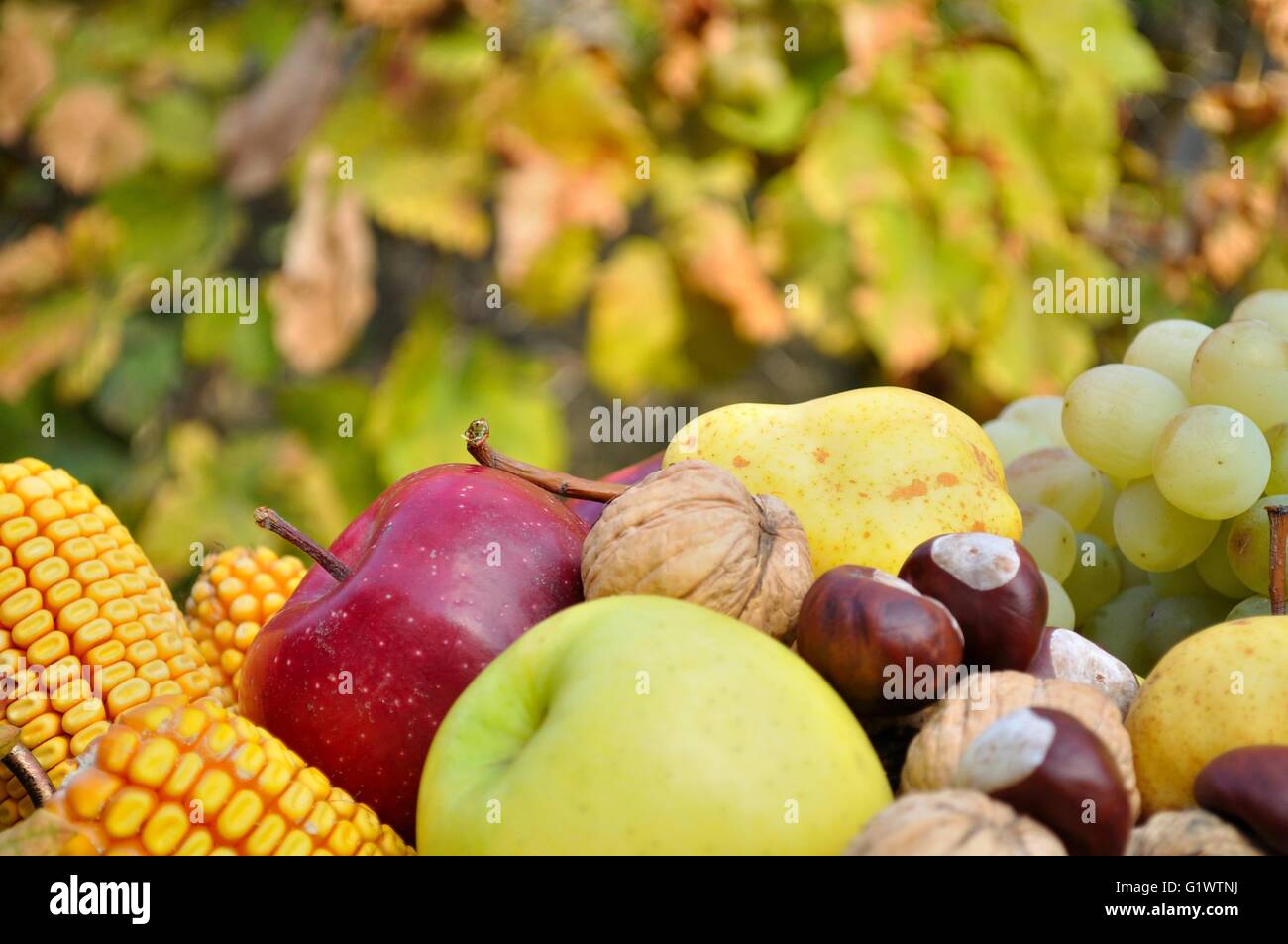 Detail of the season hi-res stock photography and images - Alamy