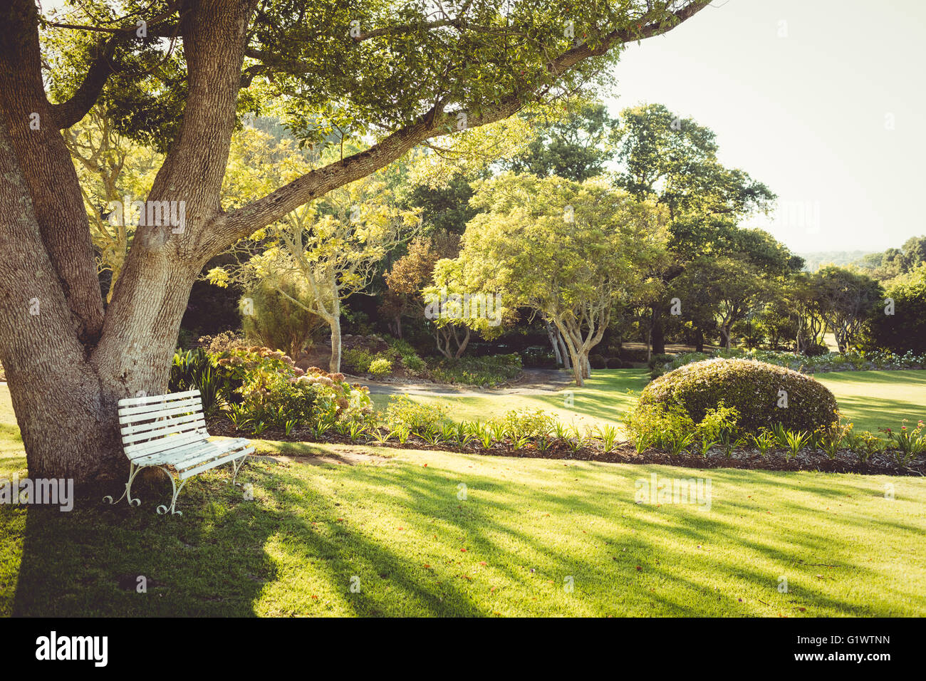 Sunny garden view hi-res stock photography and images - Alamy