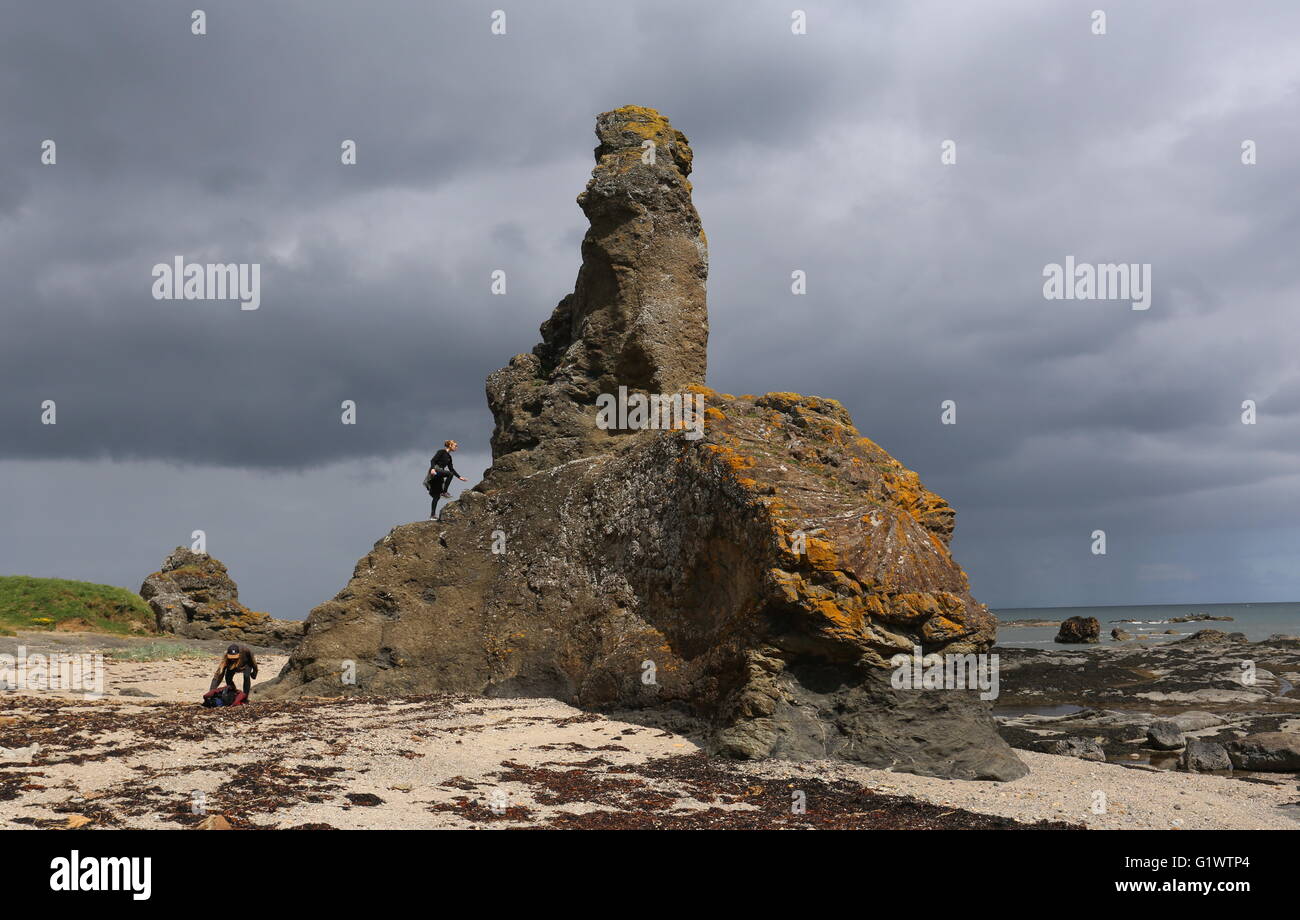 Climbing spindle spindle hi-res stock photography and images - Alamy