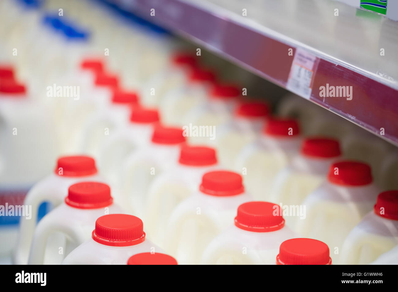 Milk bottles tidied in shelf Stock Photo - Alamy