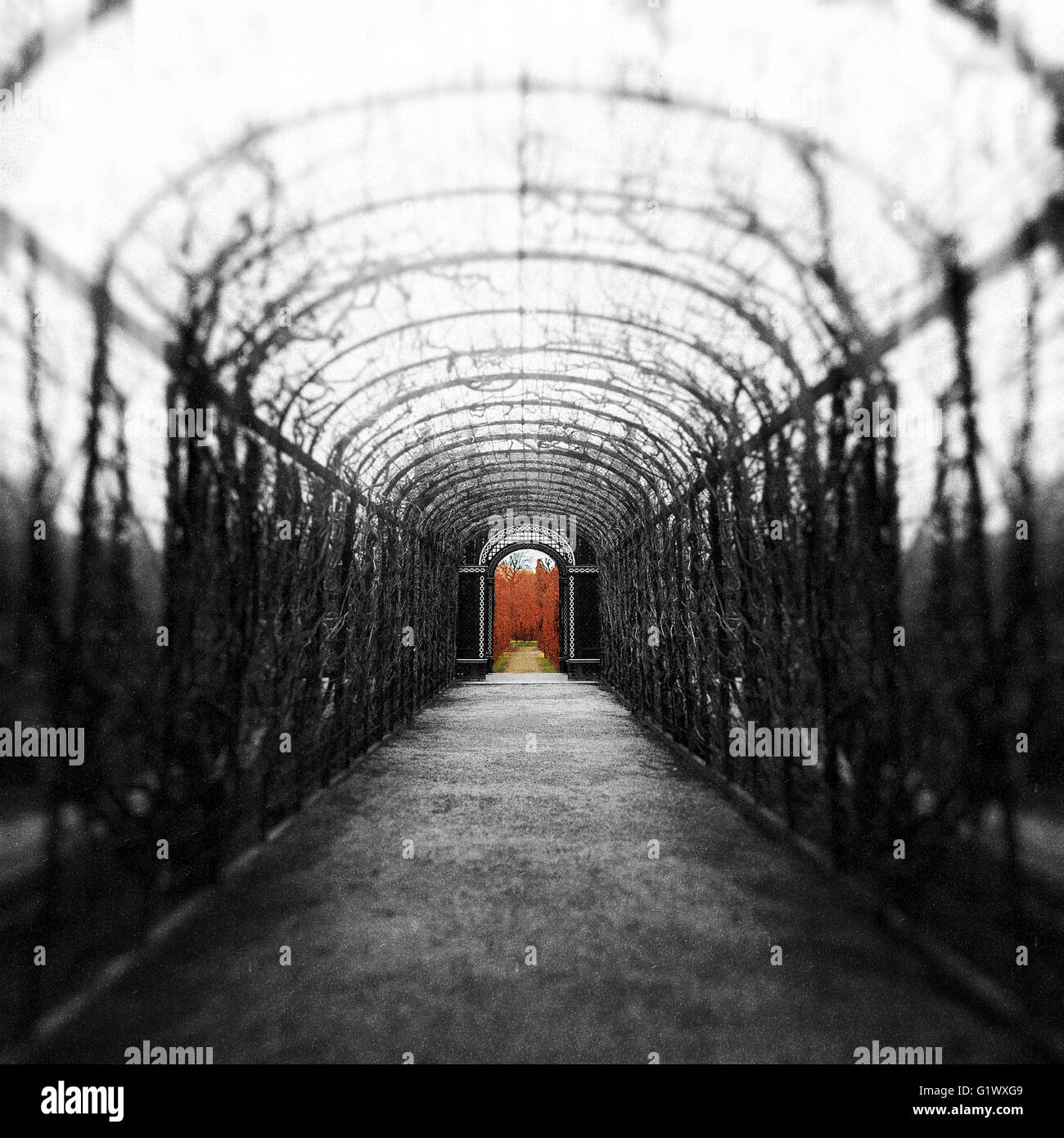 Arch metaphor hi-res stock photography and images - Alamy