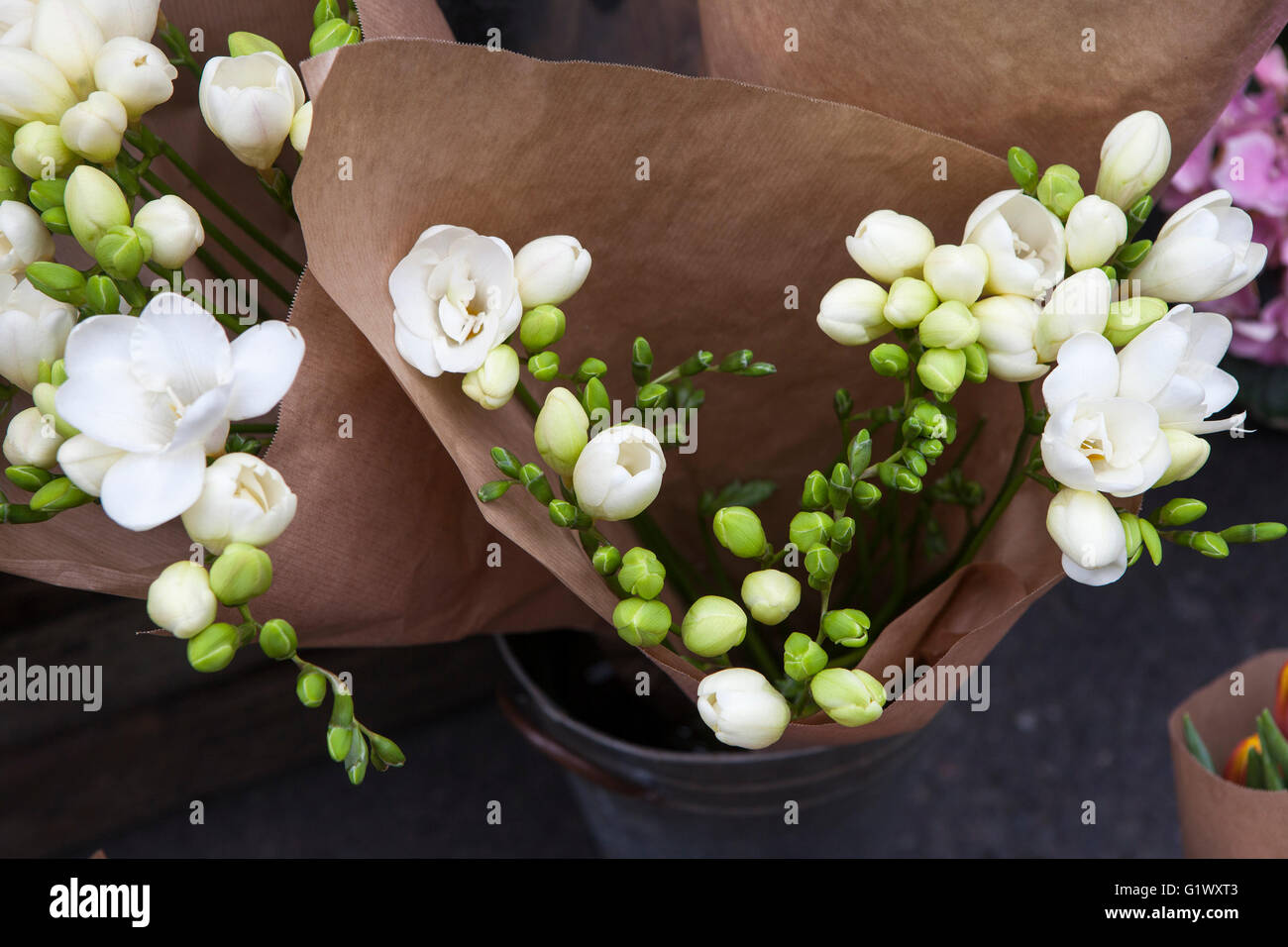 The branch of white freesia with flowers in craft paper Stock Photo - Alamy