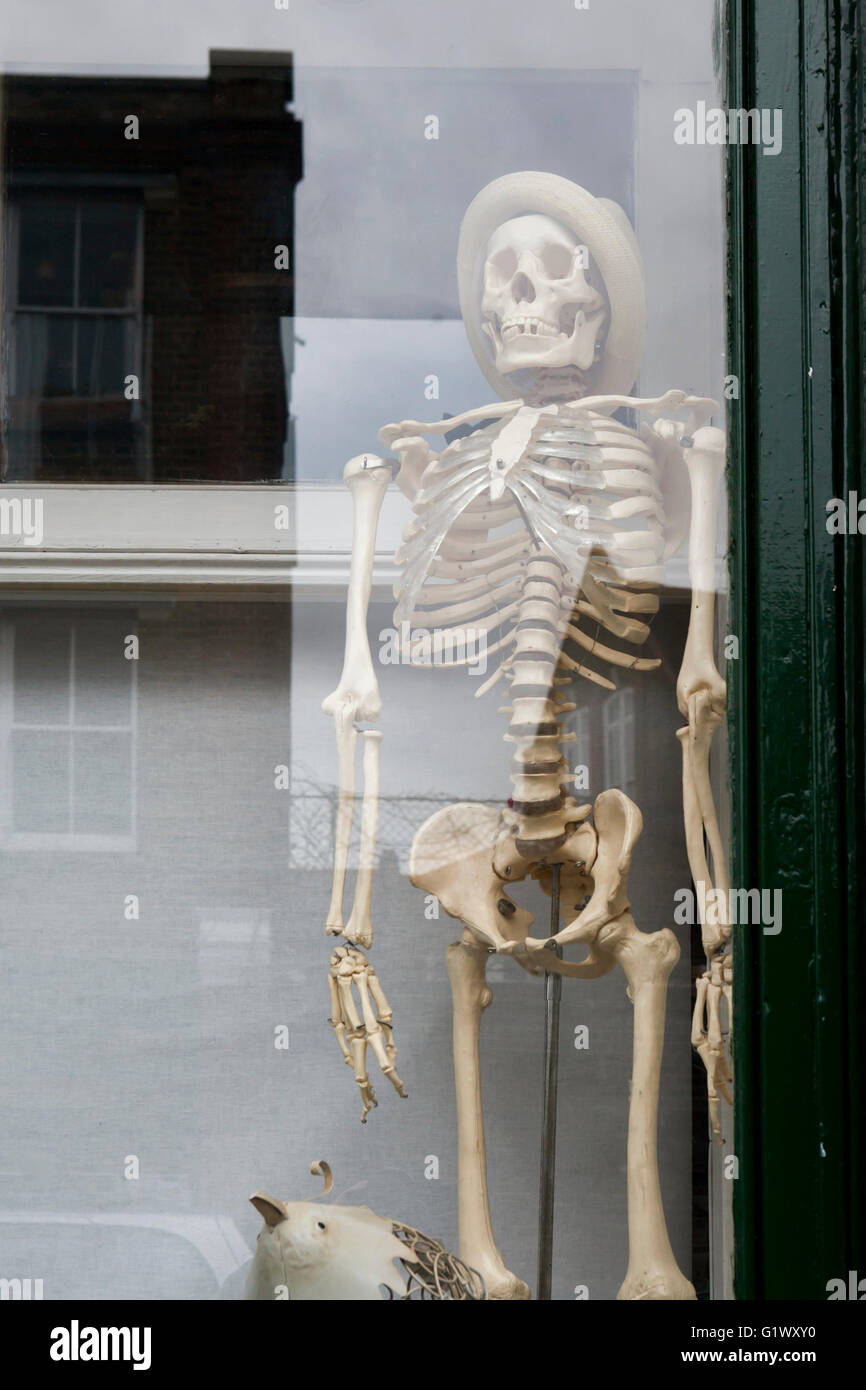 stylish skeleton with skull in hat Stock Photo - Alamy