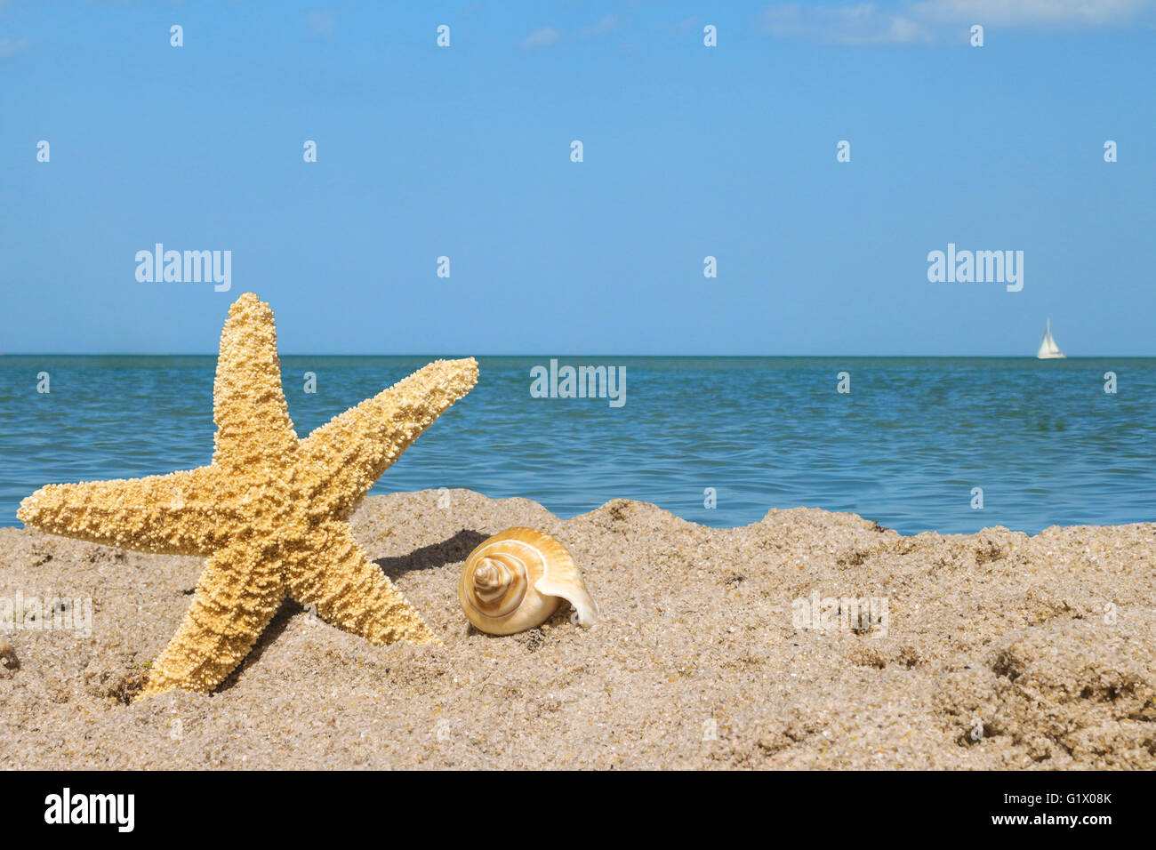 Shells sand beach sea sail boat hi-res stock photography and images - Alamy