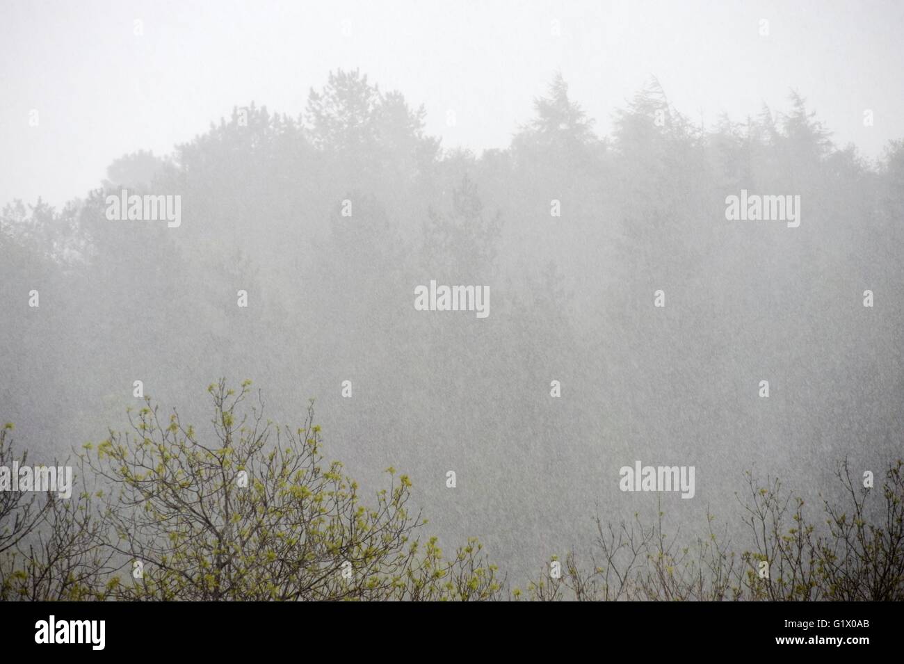 Torrential rain hi-res stock photography and images - Alamy