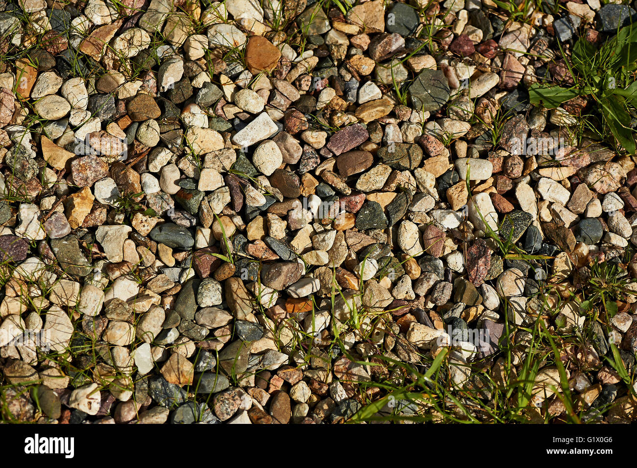 green grass with stone, grass with rock,Pebble stones with Grass ...