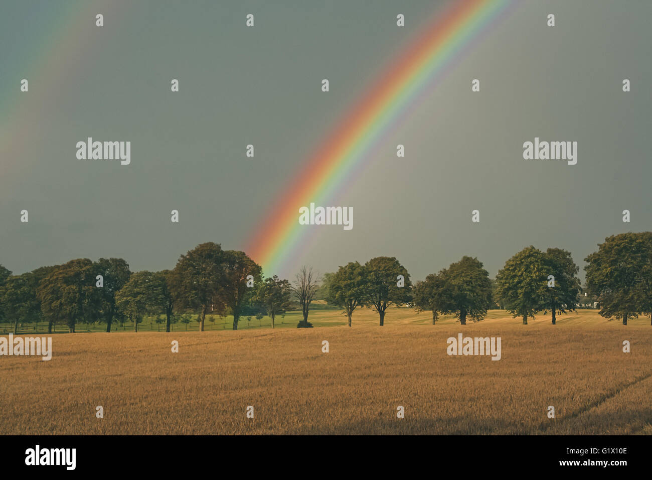 Rainbow in a field and trees Stock Photo - Alamy