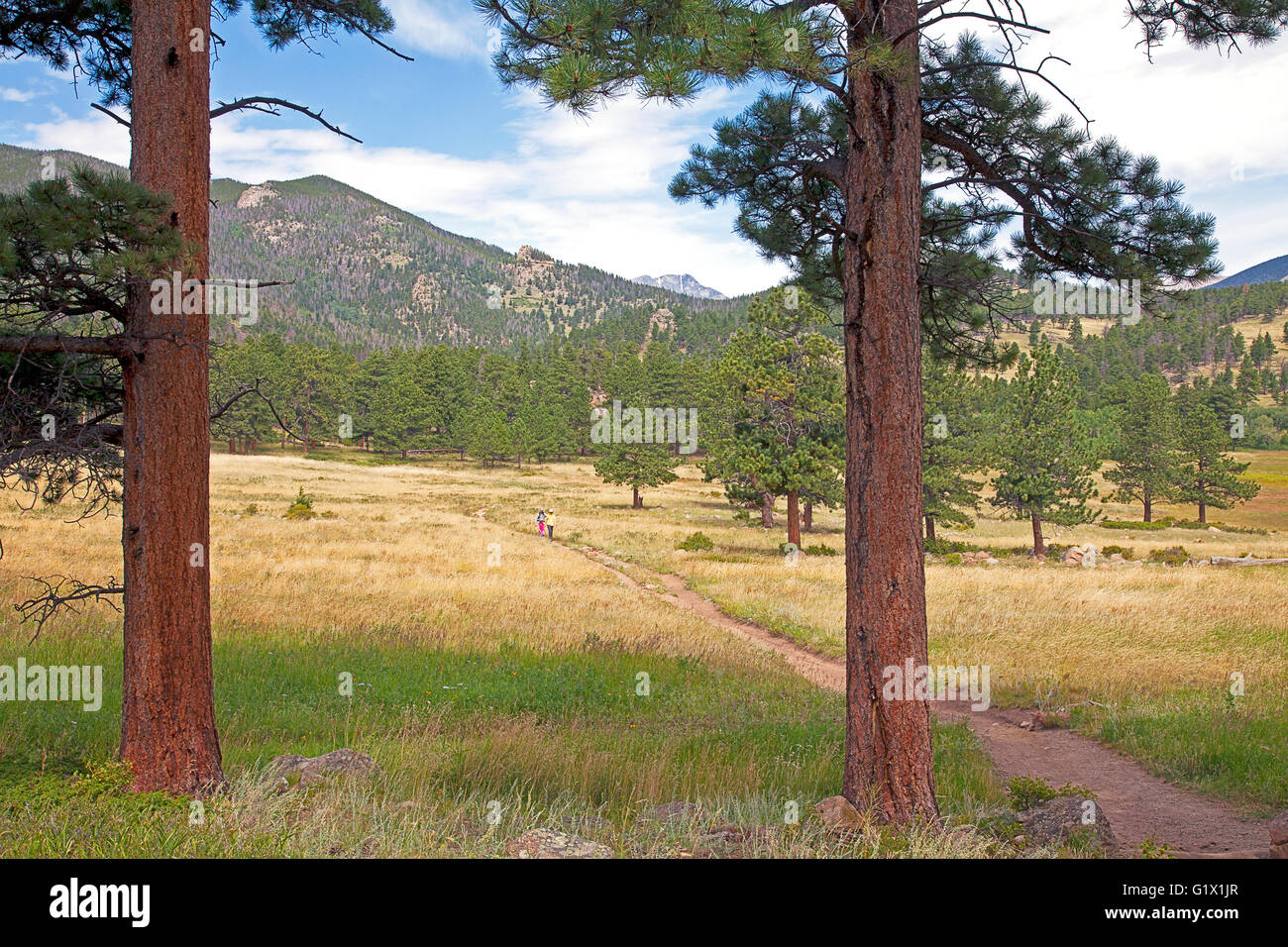 Family of 3 walking on trail, Upper Beaver Meadows, Rocky Mountain ...