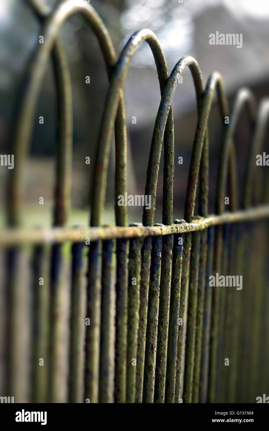 Old rusty fence / railings Stock Photo - Alamy