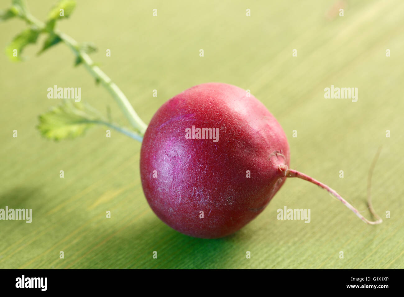 Macro radish hi-res stock photography and images - Alamy