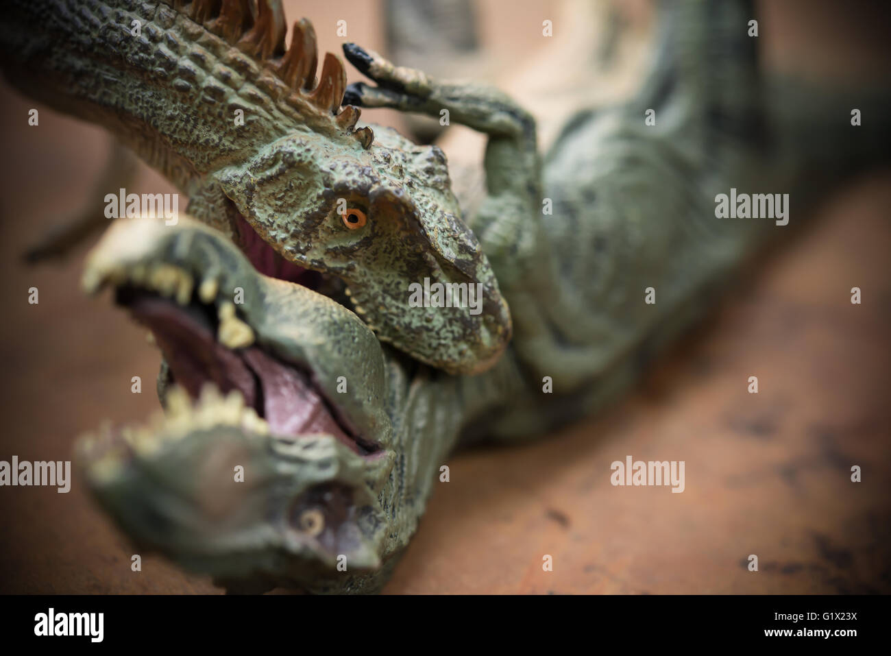 Allosaurus model hi-res stock photography and images - Alamy