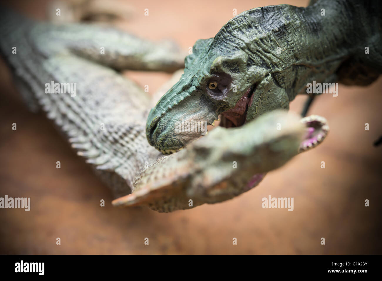 Tyrannosaurus rex hunting hi-res stock photography and images - Alamy