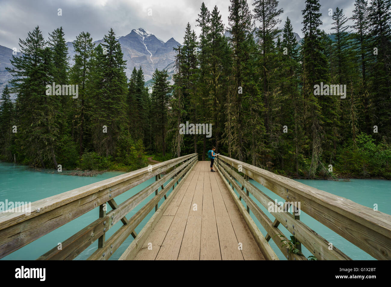 Teenage Girl on Foot Bridge along the Berg Lake Trail, Mount Robson ...
