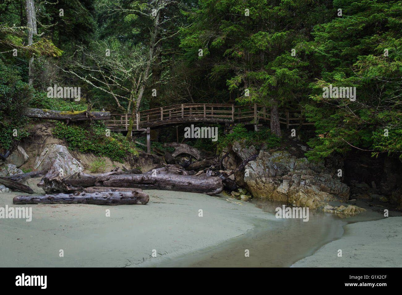 Foot bridge at Tonquin Beach, Tofino, British Columbia Stock Photo - Alamy