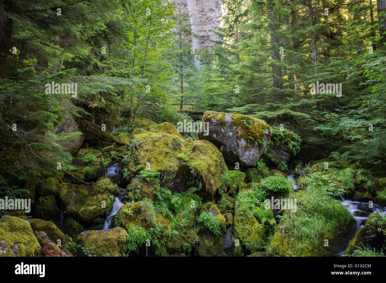 Umpqua national forest hi-res stock photography and images - Alamy