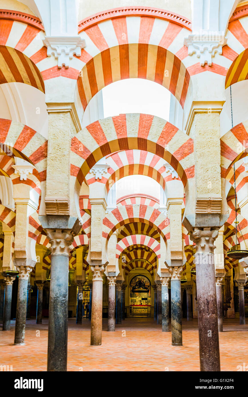 Hypostyle Hall in the Mosque-Cathedral of Córdoba, Andalusia, Spain ...