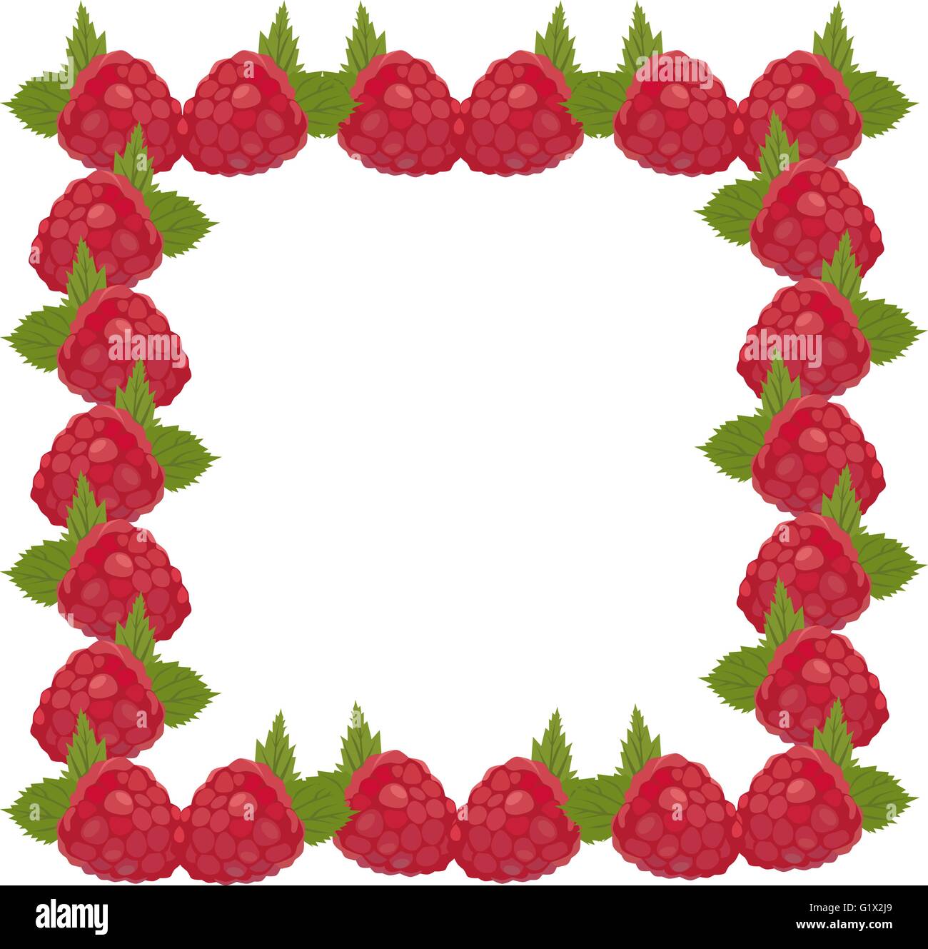 Frame raspberries, isolated vector Stock Vector Image & Art - Alamy