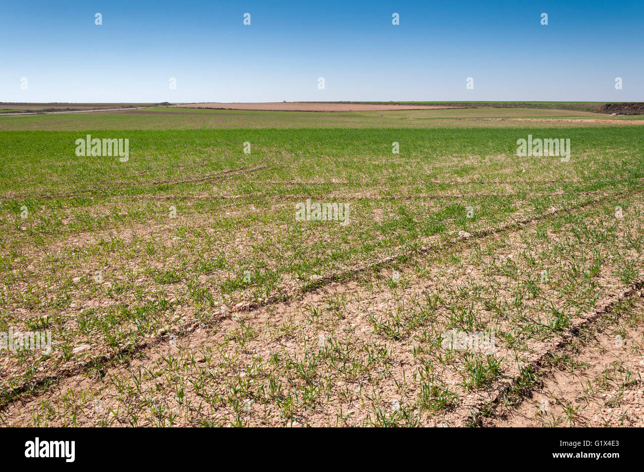 Dryland agriculture hi-res stock photography and images - Alamy