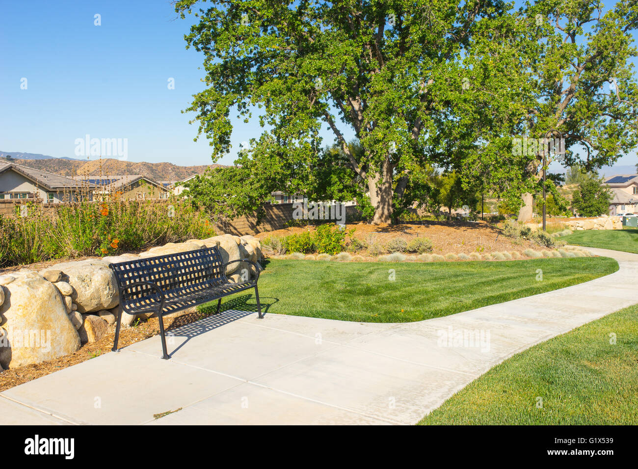 Green manicured grass lawn in garden area of suburban neighborhood park ...