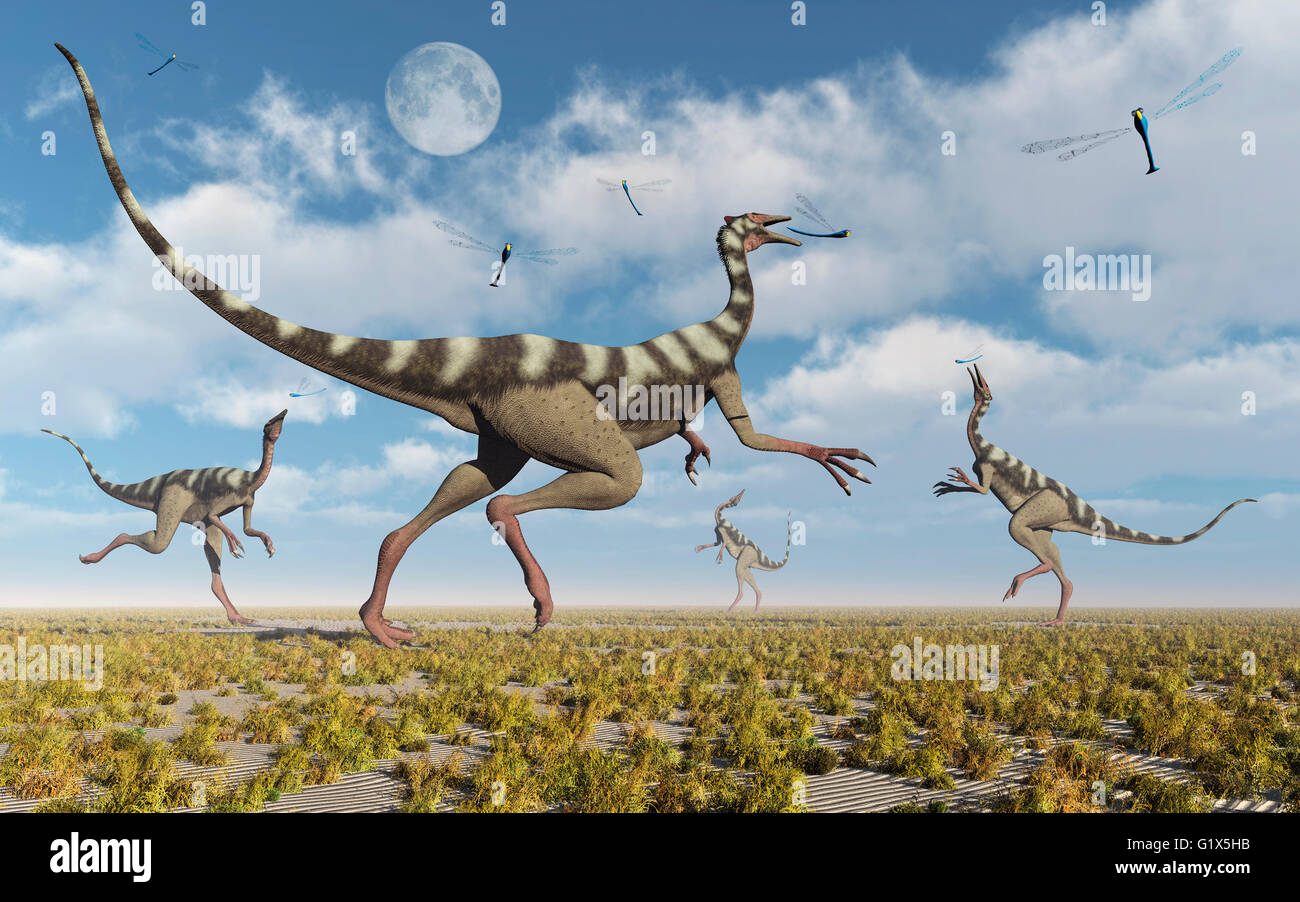 Prehistoric insects hi-res stock photography and images - Alamy