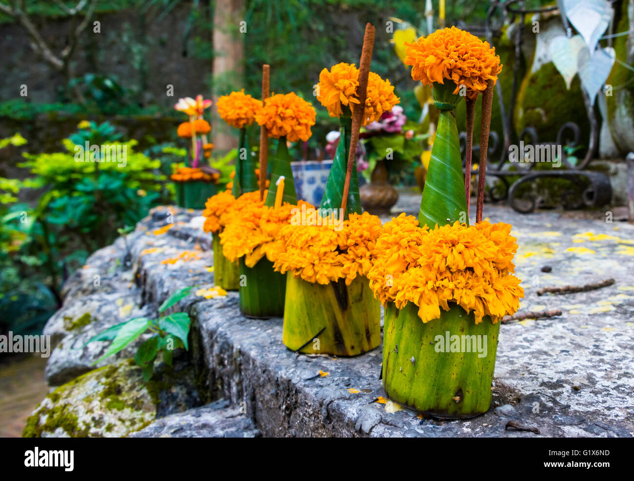 Strung Flowers victims, floral arrangement with incense, Mount Phousi ...