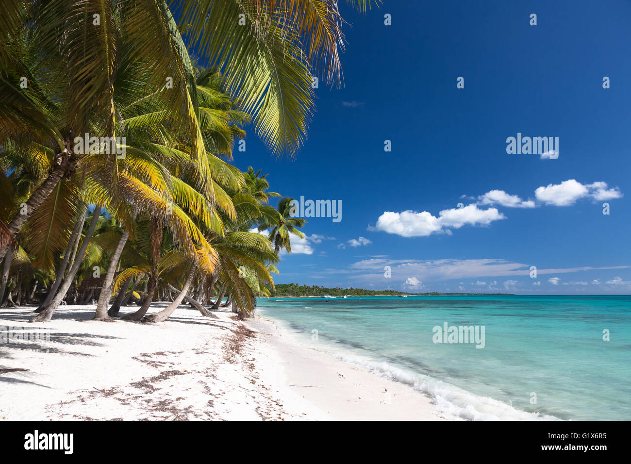 Beautiful caribbean beach on Saona island, Dominican Republic Stock ...