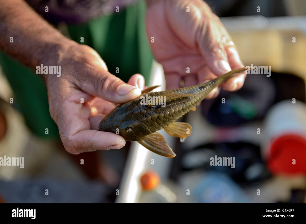 Fisherman Small Fish High Resolution Stock Photography and Images - Alamy