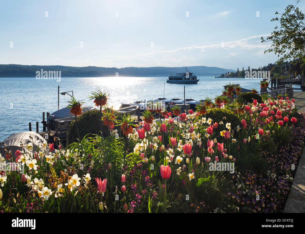 Spring flower lake district hi-res stock photography and images - Alamy