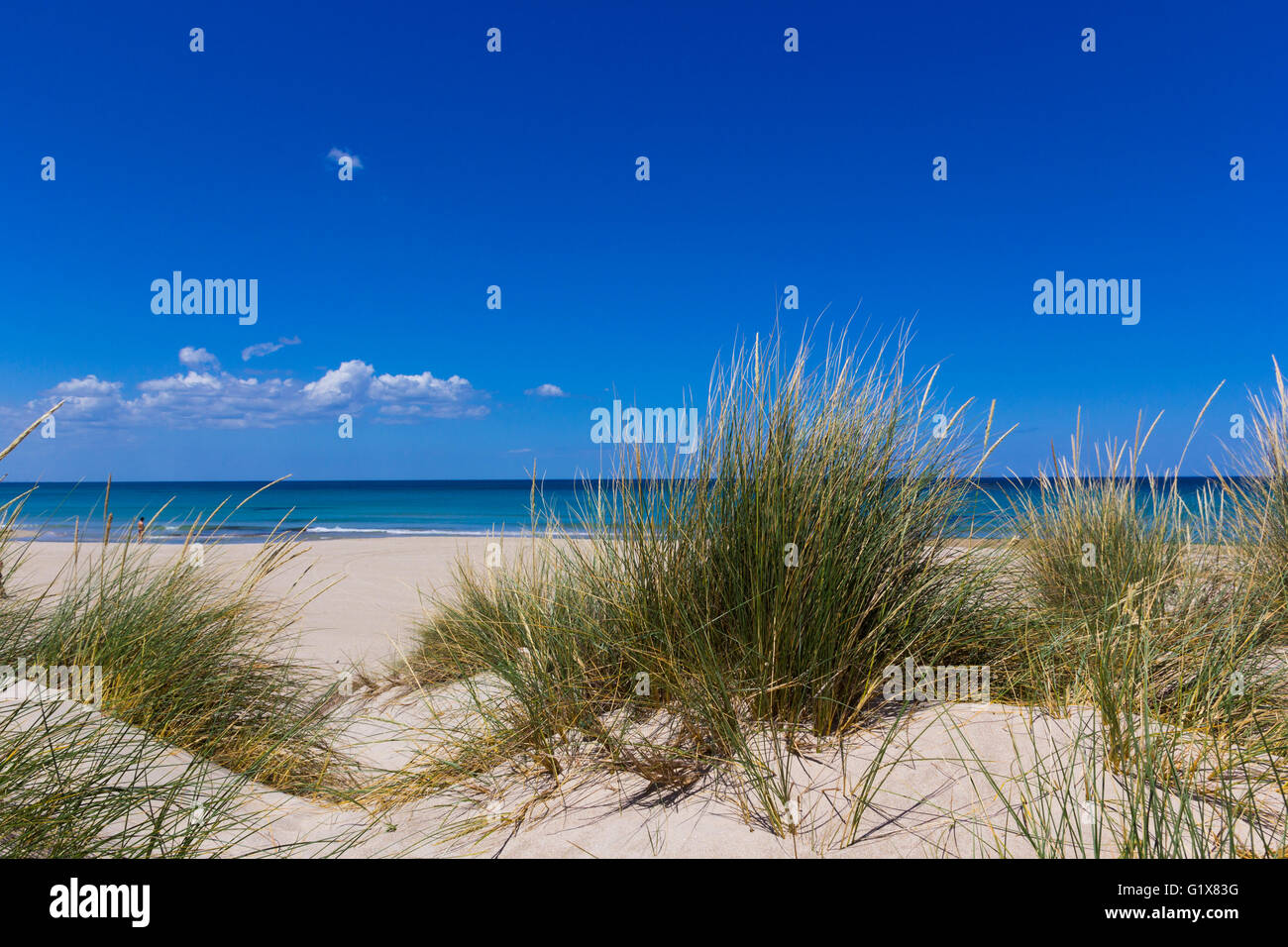 Salento Lecce: the sea, the beach and sand dunes Stock Photo - Alamy