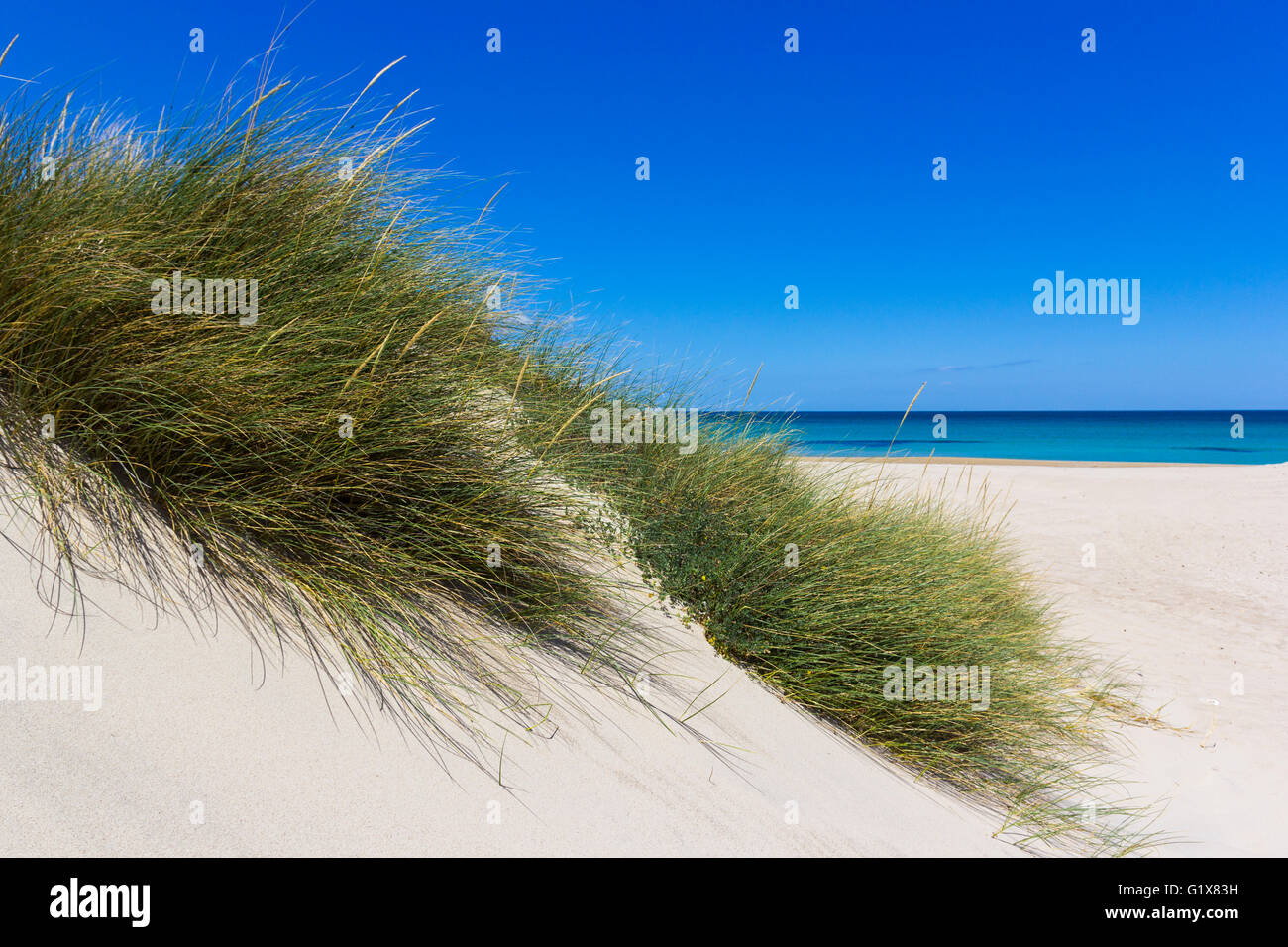 Salento area hi-res stock photography and images - Alamy