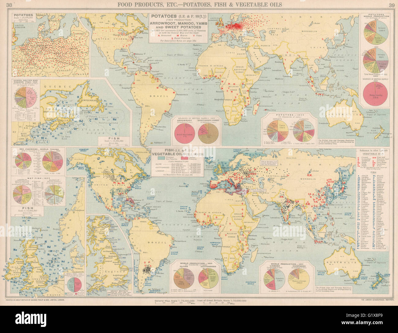 World. Food Production. Potatoes, Fish & Vegetable Oils. Canada, 1925 ...