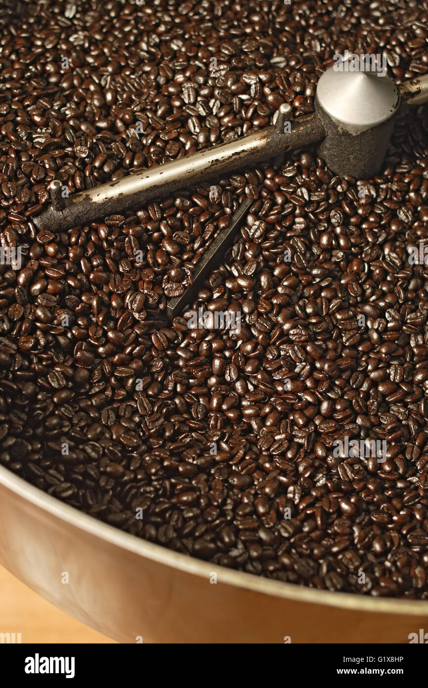 The freshly roasted beans from a large coffee roaster, just before the ...