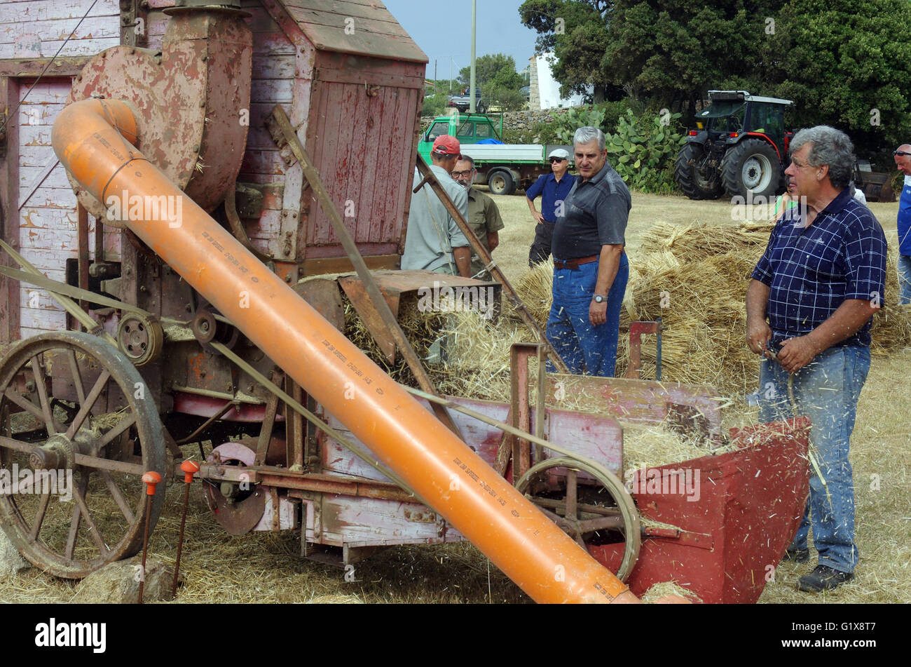 Traditional threshing in Sardinian farm Stock Photo - Alamy