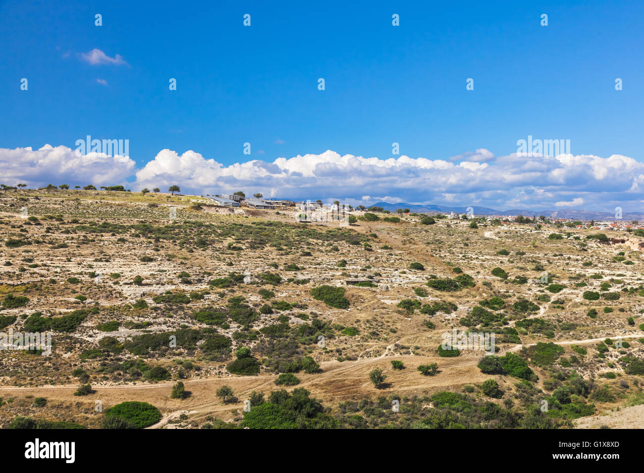Conservation cyprus hi-res stock photography and images - Alamy